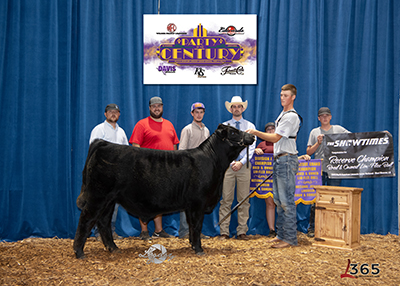 2020 National Junior Limousin Show and Congress Bred & Owned Show ...