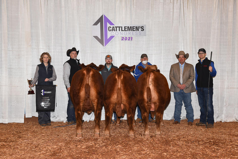 2021 Cattlemen’s Congress Limousin and Lim-Flex Pen Shows – Limousin365