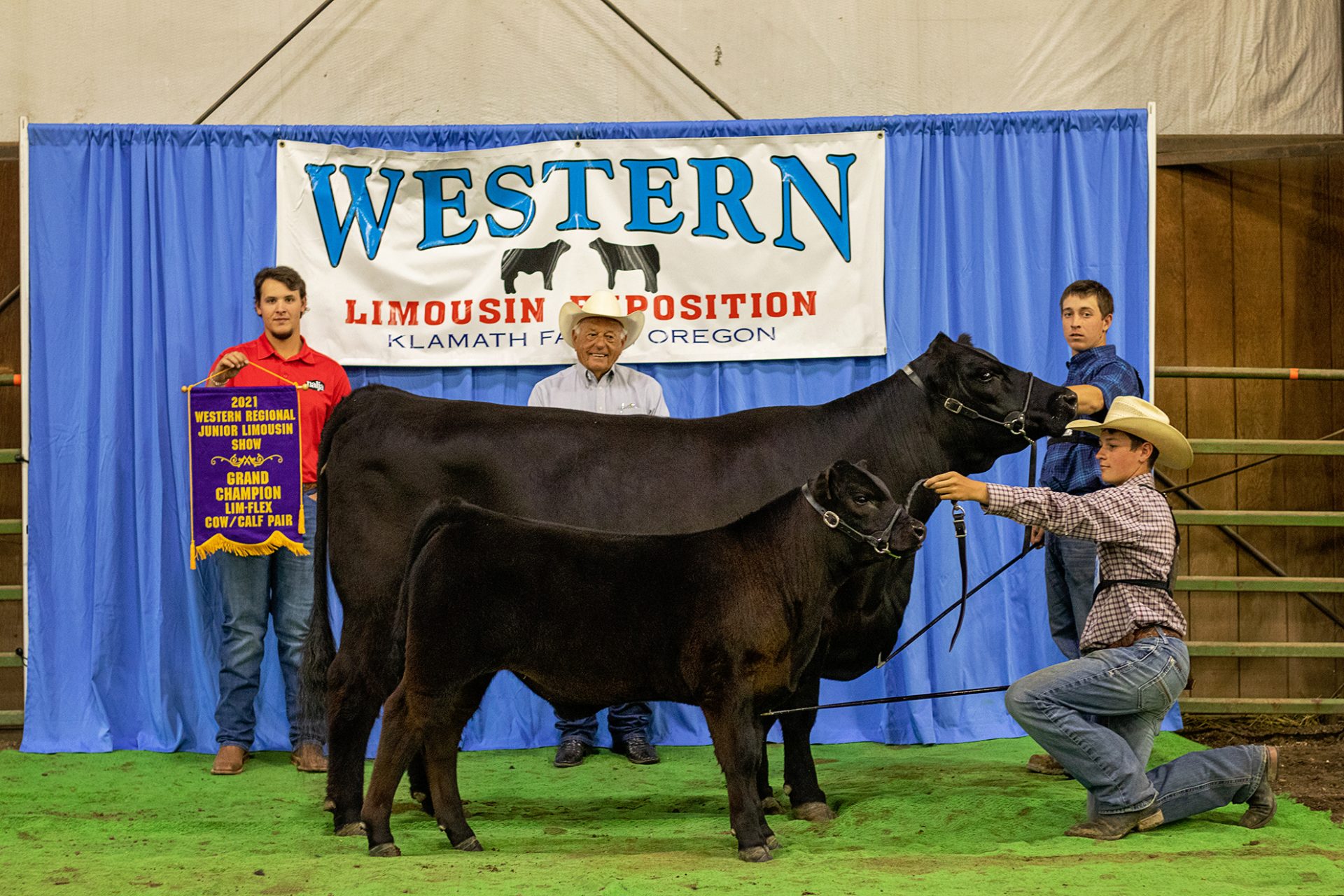 Western Regional Junior Limousin Show – Limousin365