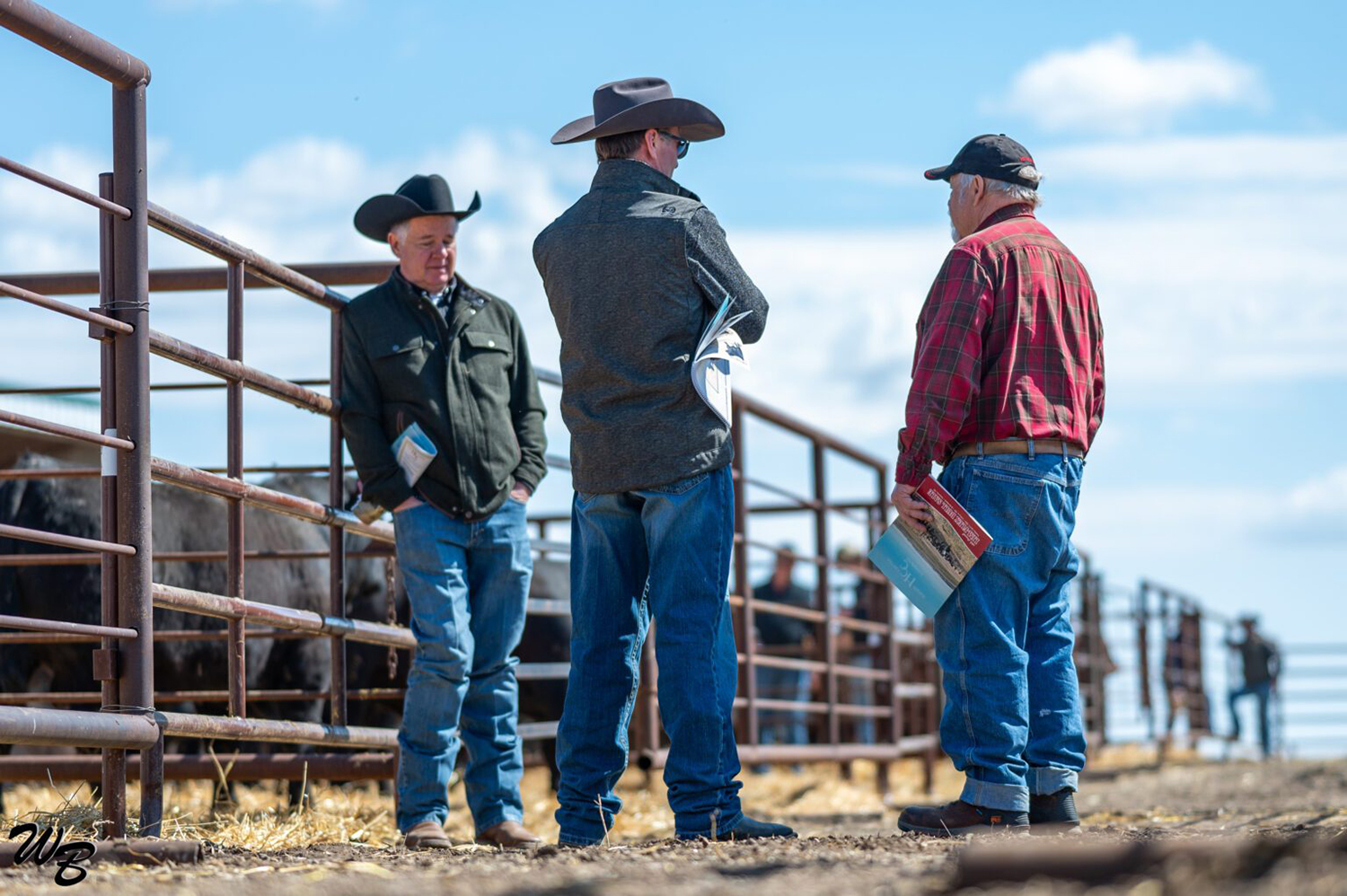 Hager Cattle Co. 18th Annual Lim-Flex Bull Sale – Limousin365