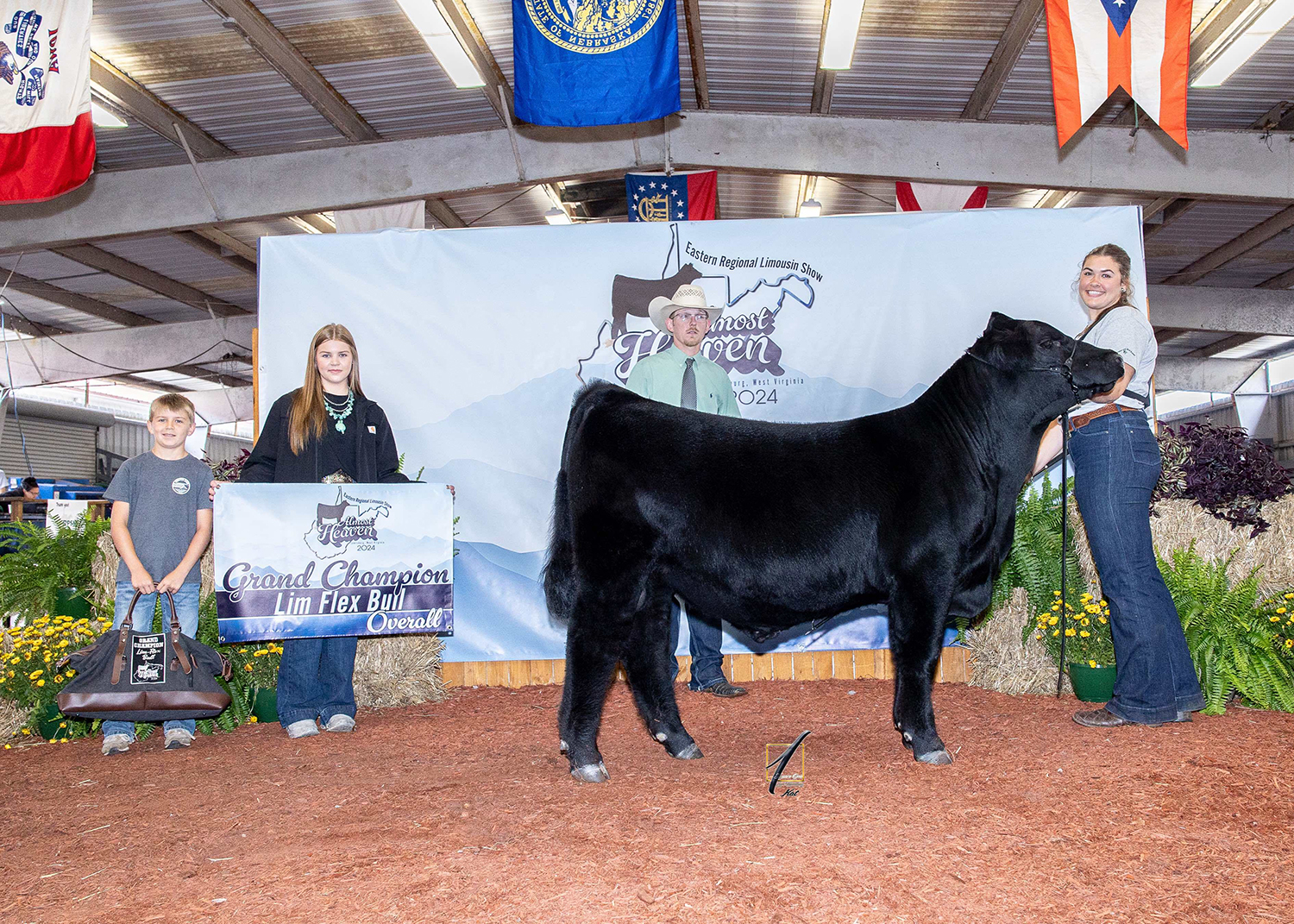 Eastern Regional Junior Limousin & Lim-Flex Show – Limousin365