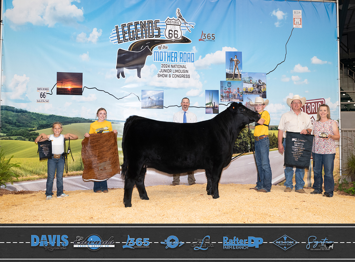 NJLSC NEOGEN Ultimate Show – Limousin365